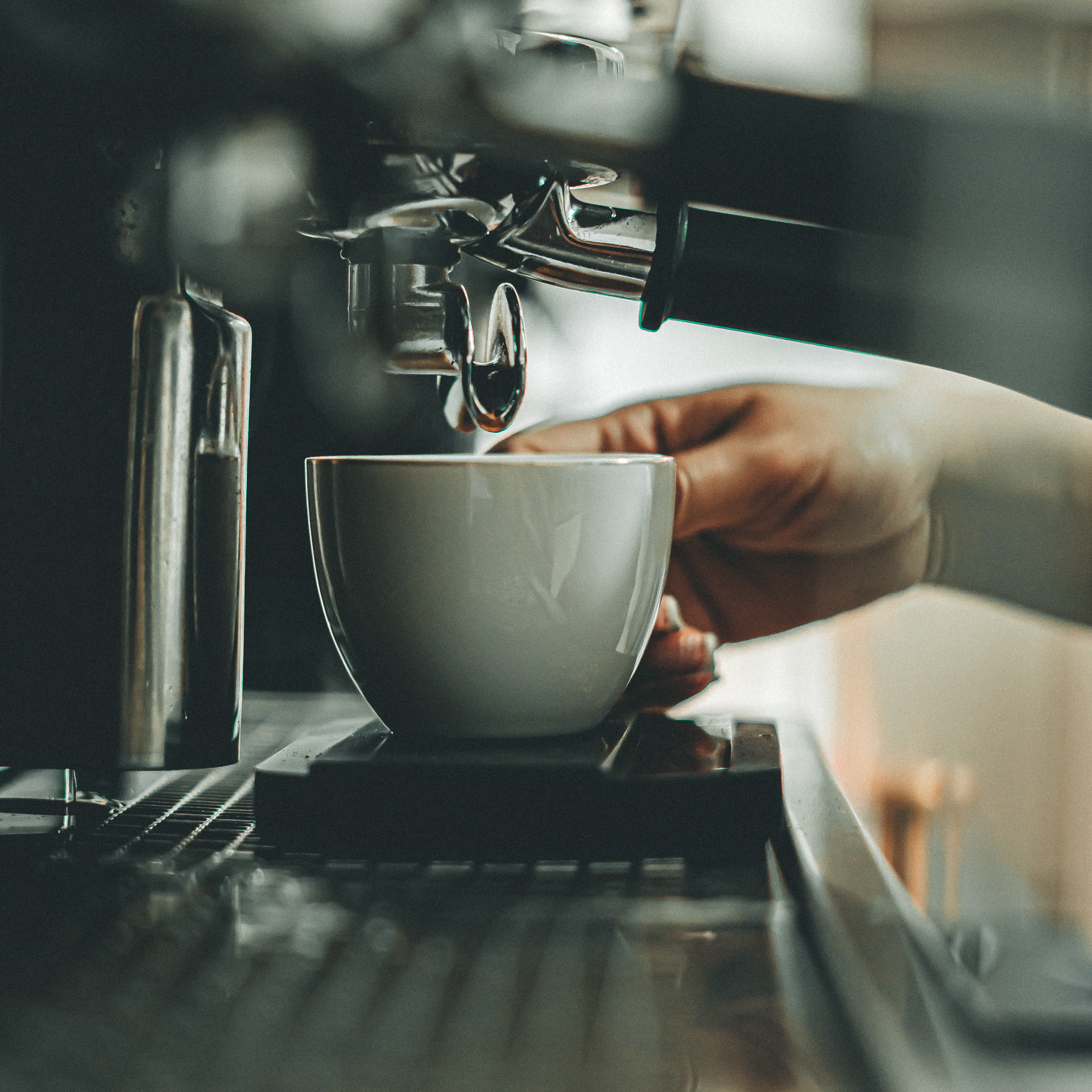 Curso barista básico (20 horas) - Speciality Coffee College (SCC) curso ...