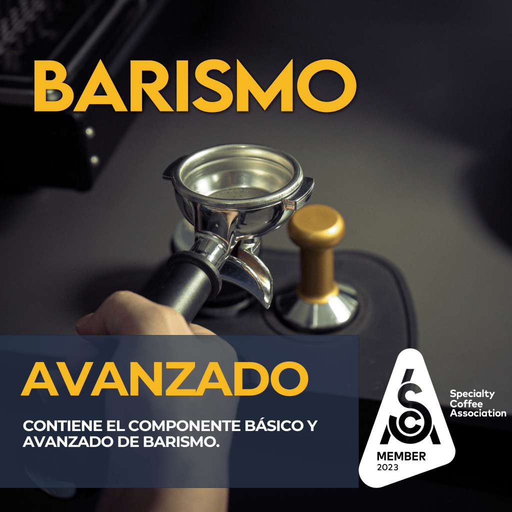 Curso barista avanzado (40 horas) ver más - Speciality Coffee College (SCC)