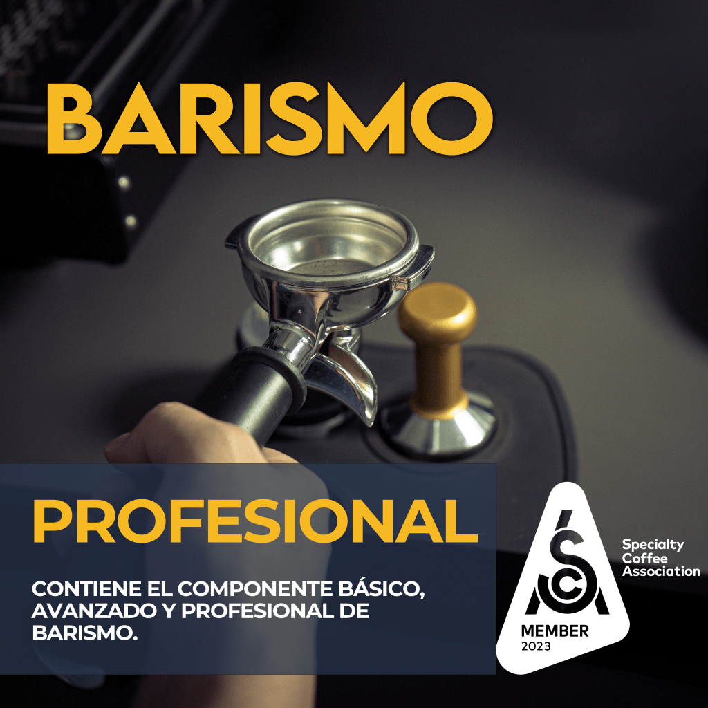 Curso barista profesional (completo: básico, avanzado profesional 80 ...