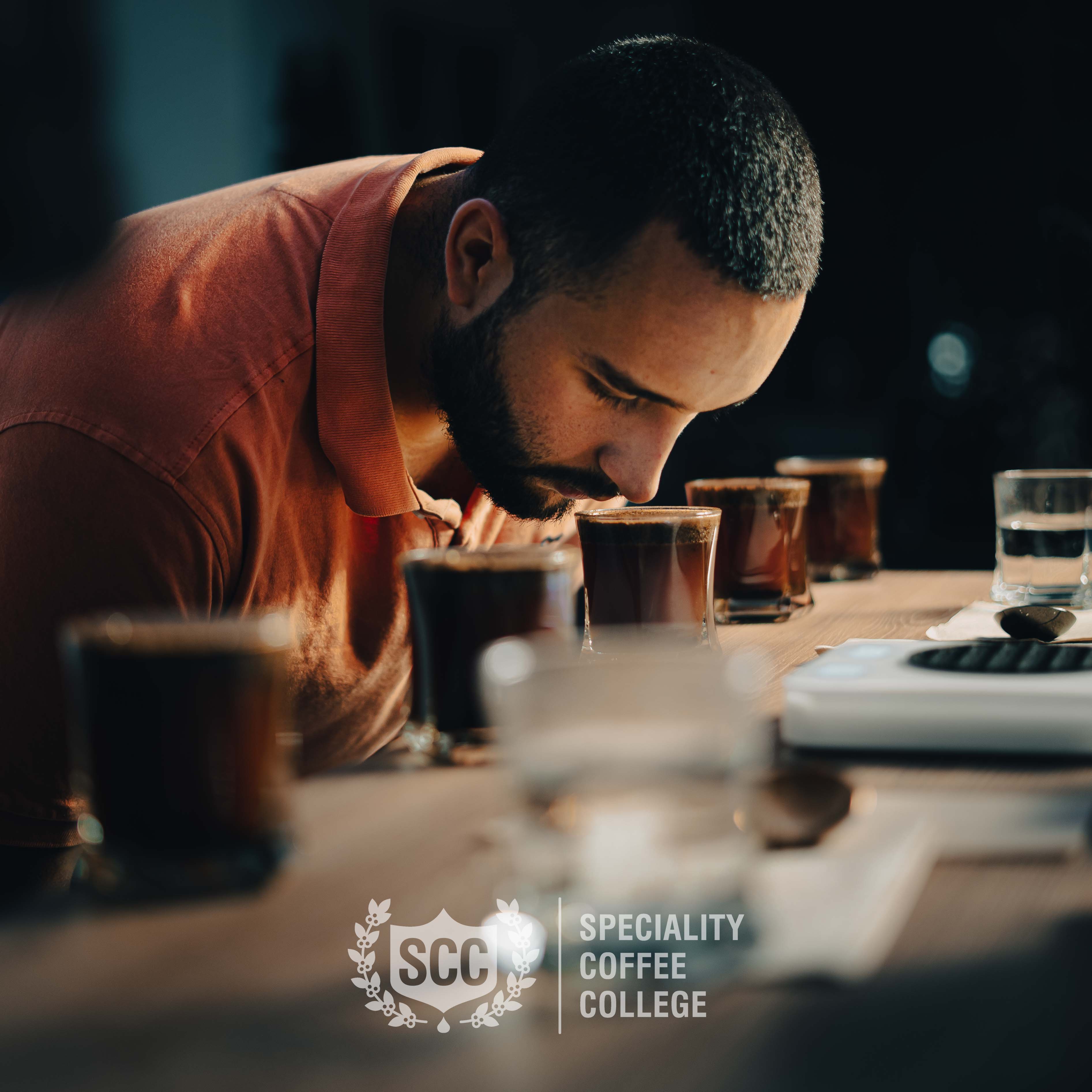 Curso catador profesional (80 horas) - Speciality Coffee College (SCC ...
