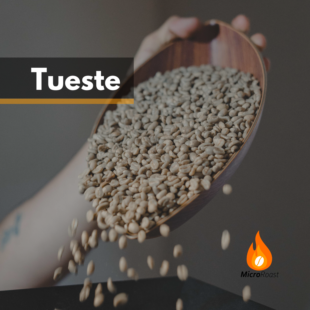 Tueste (por kg) - Speciality Coffee College (SCC)